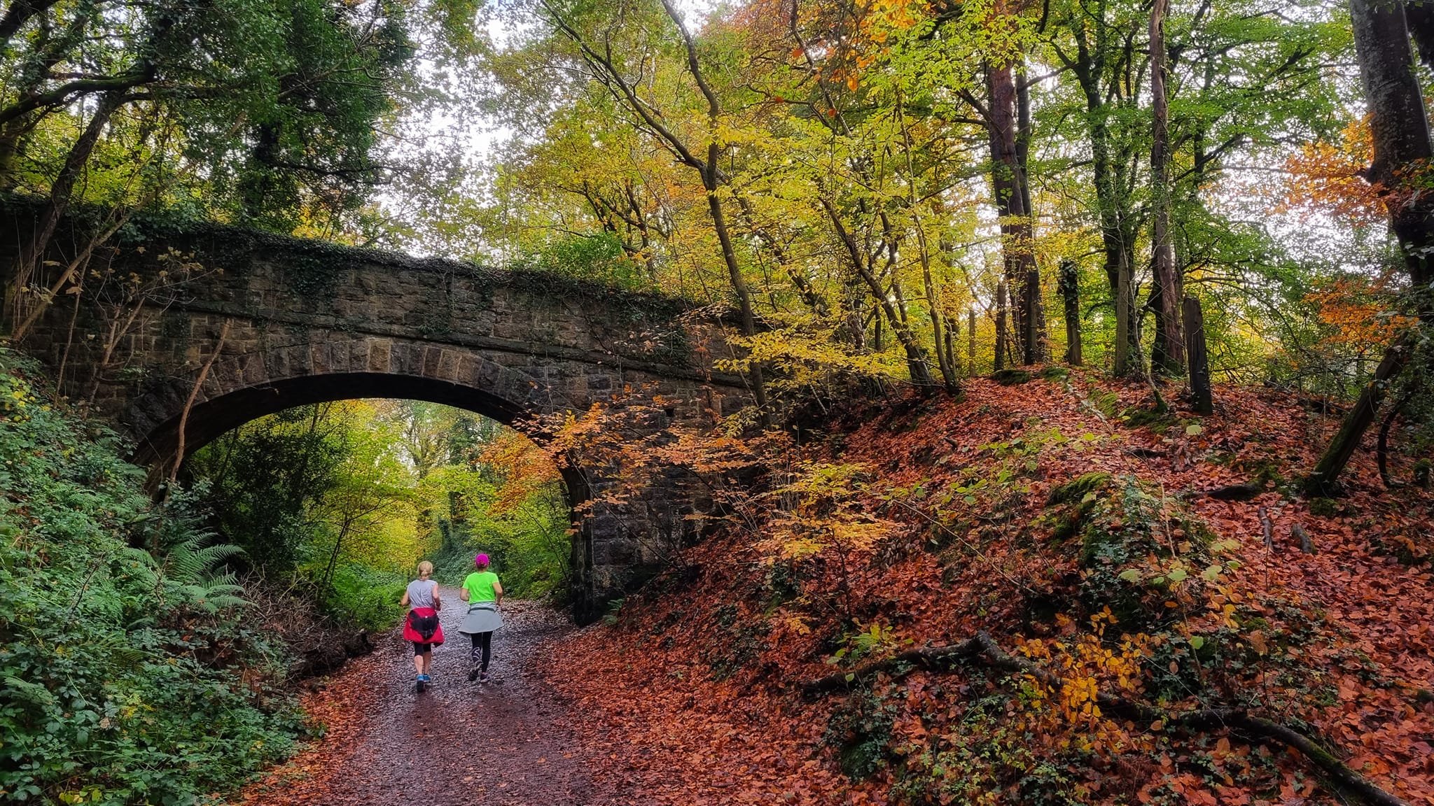 Winding Paths – Where will your run take you?