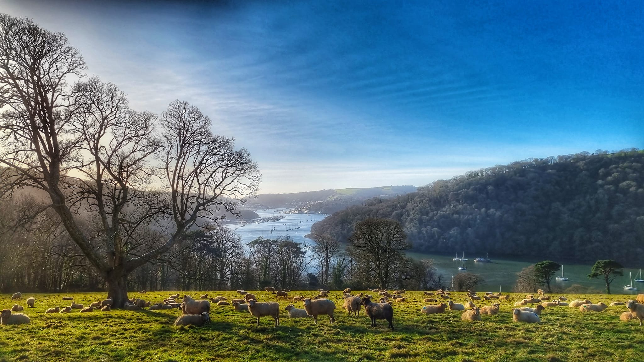 Loop – Winding Paths